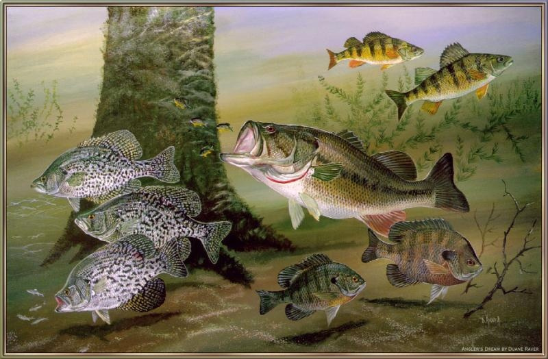 Raver Dwayne - Biographie de l'artiste, œuvres célèbres, expositions ...