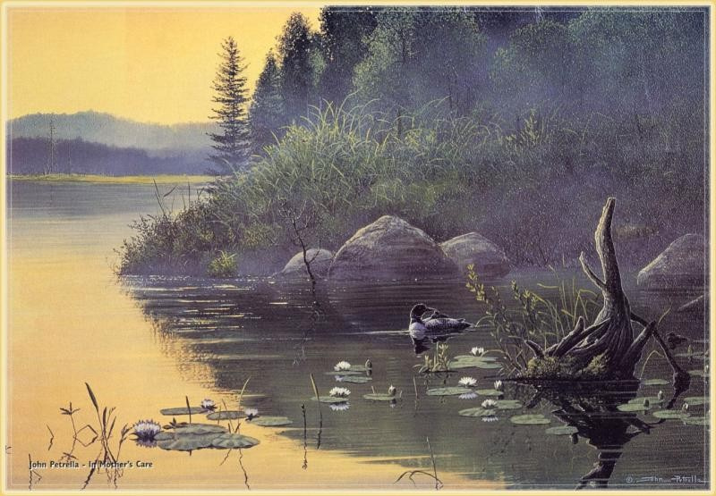 John Petrella: all artworks | Arthive