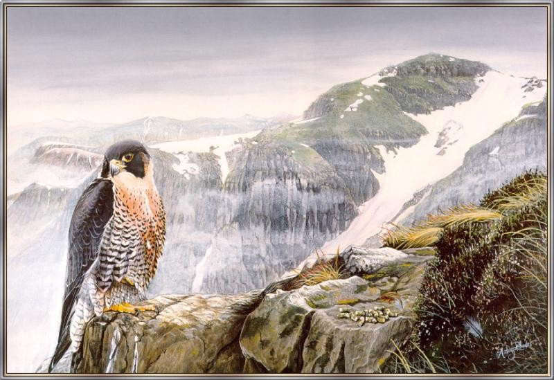 Anthony Rhodes: all artworks | Arthive