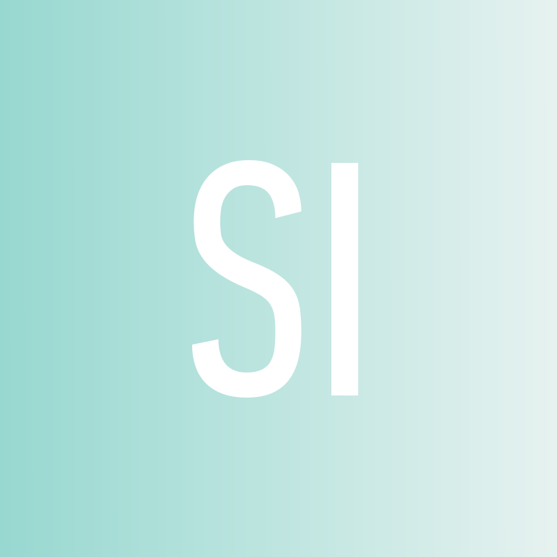 Sergey Ivanovich Ivanenko - biography | Arthive