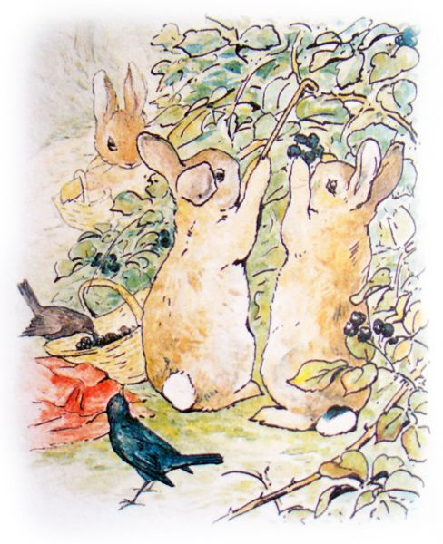 Ellen Beatrix Potter El cuento del conejo Pedro. Figura 6: Descripción ...
