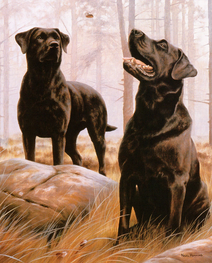 Nigel and Daniel Kevin Hamming Watching the bird: Werkbeschreibung ...