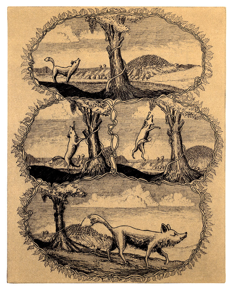 Arthur Geisert The Fox and the grapes : Descriptif de l'œuvre | Artchive