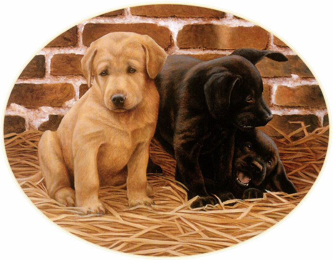 Nigel and Daniel Kevin Hamming Puppies resting : Descriptif de l'œuvre ...