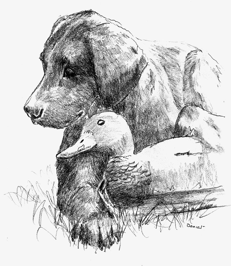 Nigel and Daniel Kevin Hamming The dog and duck: Werkbeschreibung | Artchiv