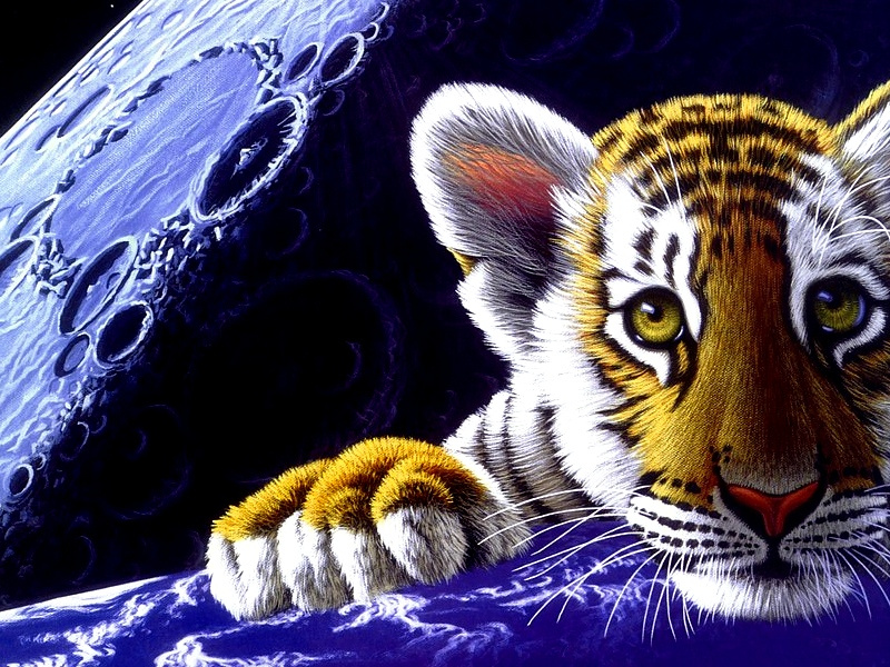 Shim Shimmel The tiger in space : Descriptif de l'œuvre | Artchive