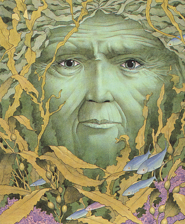 David Wiesner Face and fish: Descripción de la obra | Arthive