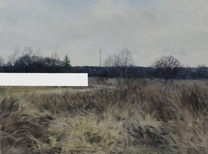 Egor Plotnikov "Subtraction": exhibition 6 de octubre – 21 de noviembre, Галерея Futuro (Футуро ...