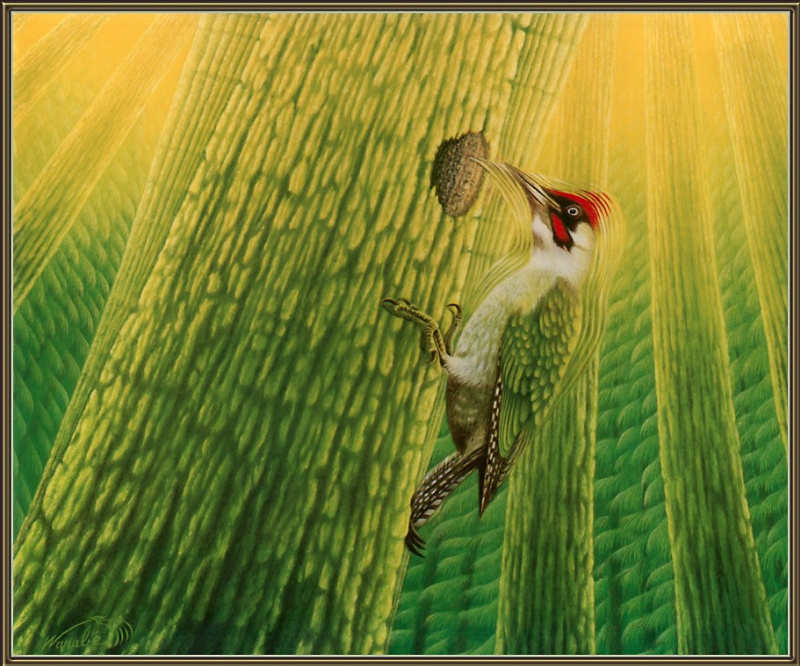 Warab Asuka Woodpecker: Descripción de la obra | Arthive