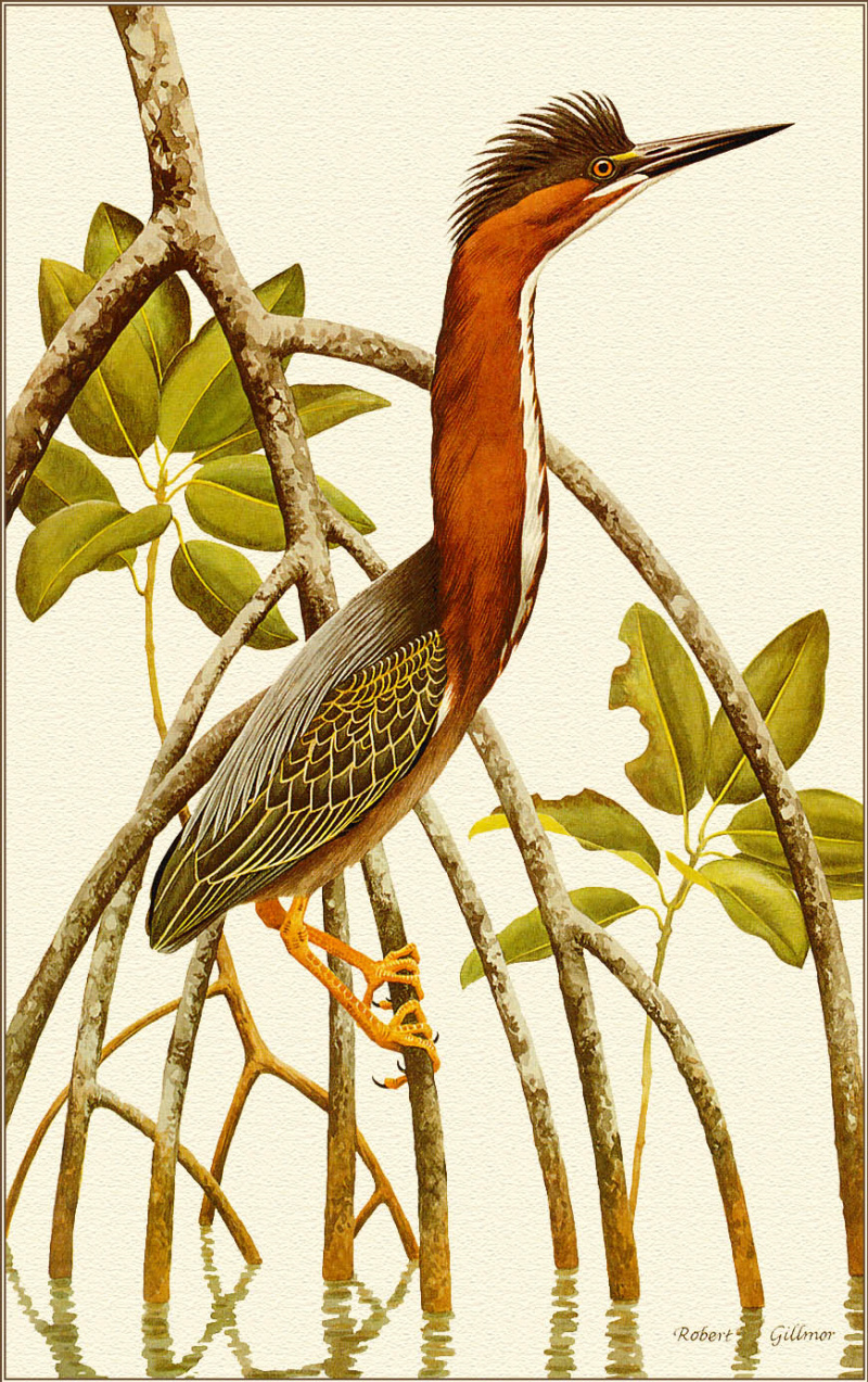 Robert Gilmore Green кваква1: Werkbeschreibung | Artchiv