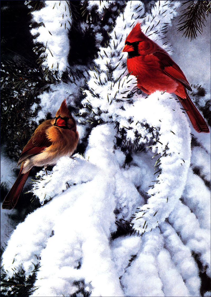 Mark Hanson Birds in the snow : Descriptif de l'œuvre | Artchive
