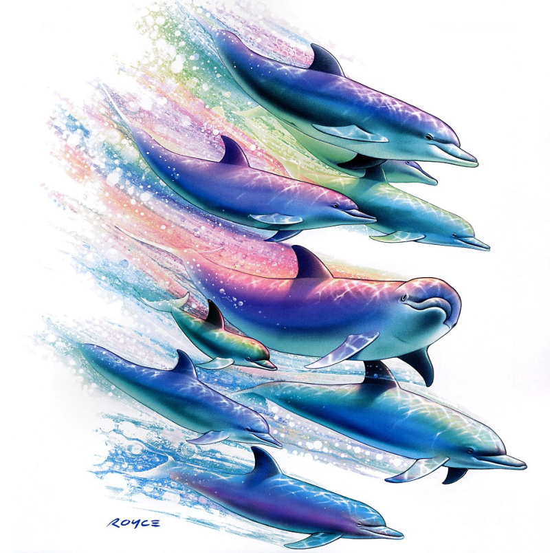 Royce McClure Dolphins 19：作品描述 | Arthive