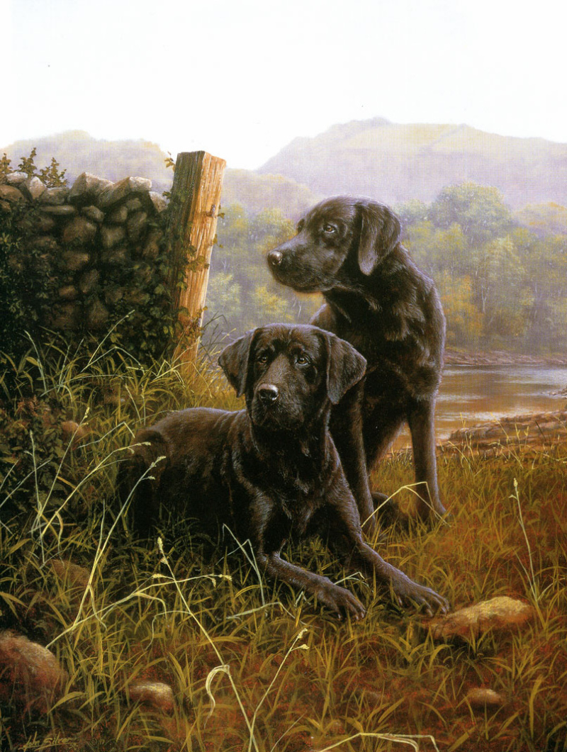 Nigel and Daniel Kevin Hamming Satellites: Descripción de la obra | Arthive