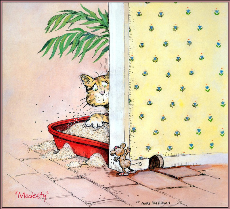 Francisco Jose Perez Macedo Modest cat: Descripción de la obra | Arthive