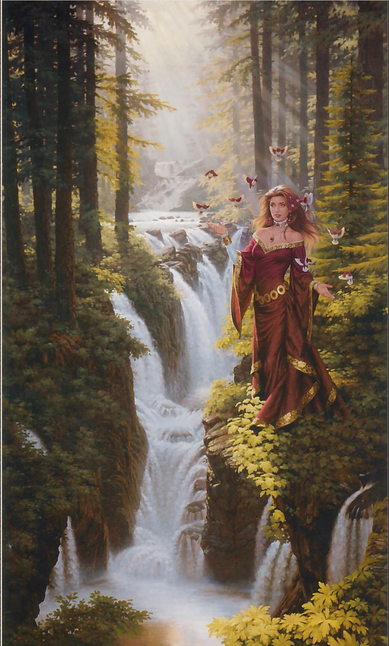 Jonathan Graf Bowser The light in the forest : Descriptif de l'œuvre ...