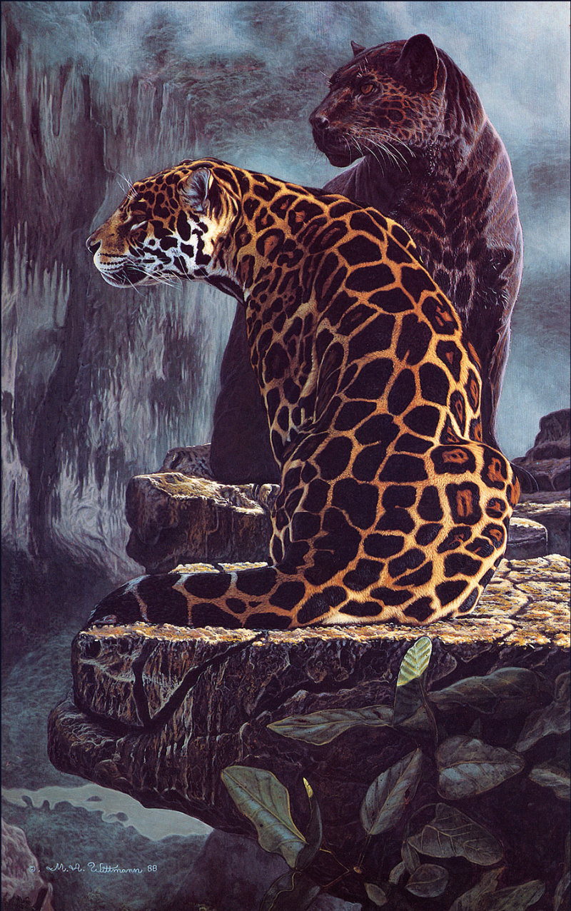 Alexander Wittmann Southern princes: Descripción de la obra | Arthive