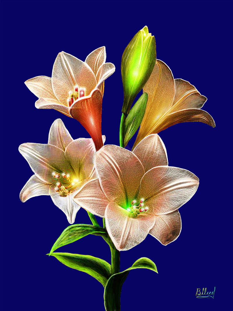 Vasilij Mischenko - Белые лилии цветографика, XXI, 30×40 см: Описание произведения | Артхив