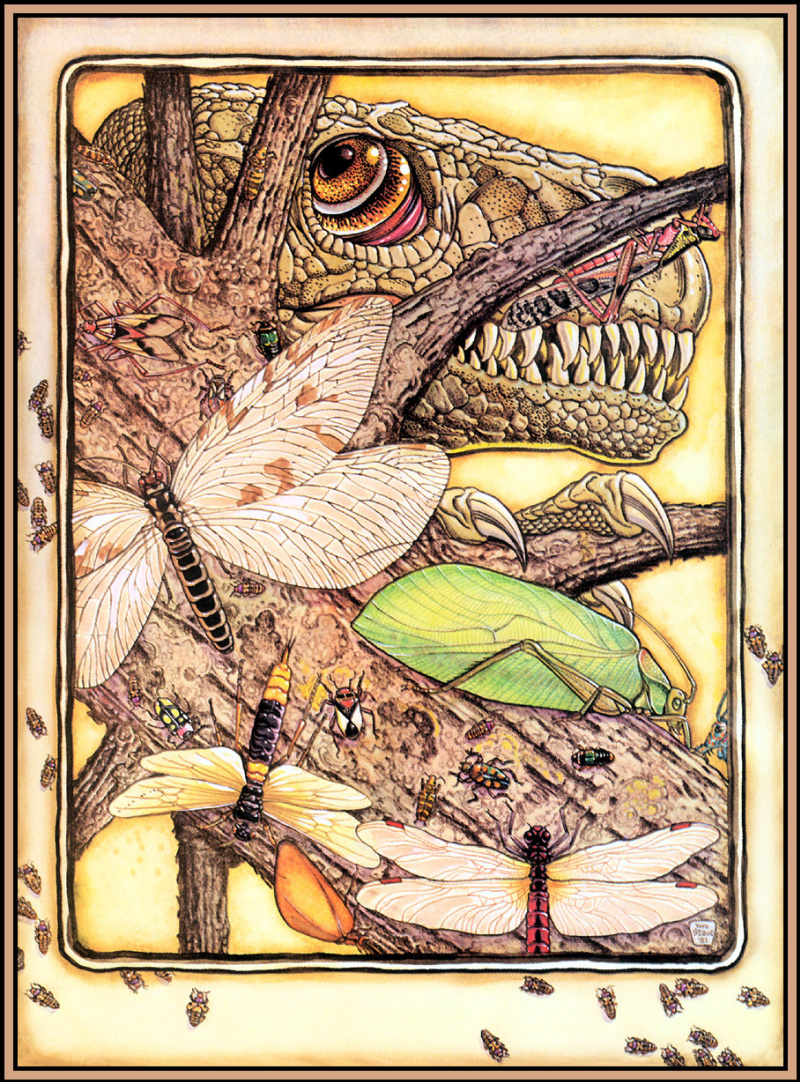 William Stout Insects: Descripción de la obra | Arthive