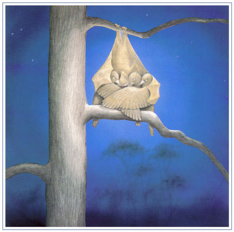 Janelle Cannon Illustration of the children's book of Stellaluna 22 ...