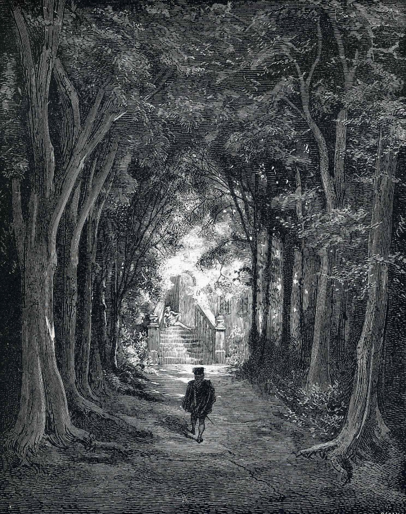 Buy digital version: Road in the forest by Paul Gustave Dore | Arthive