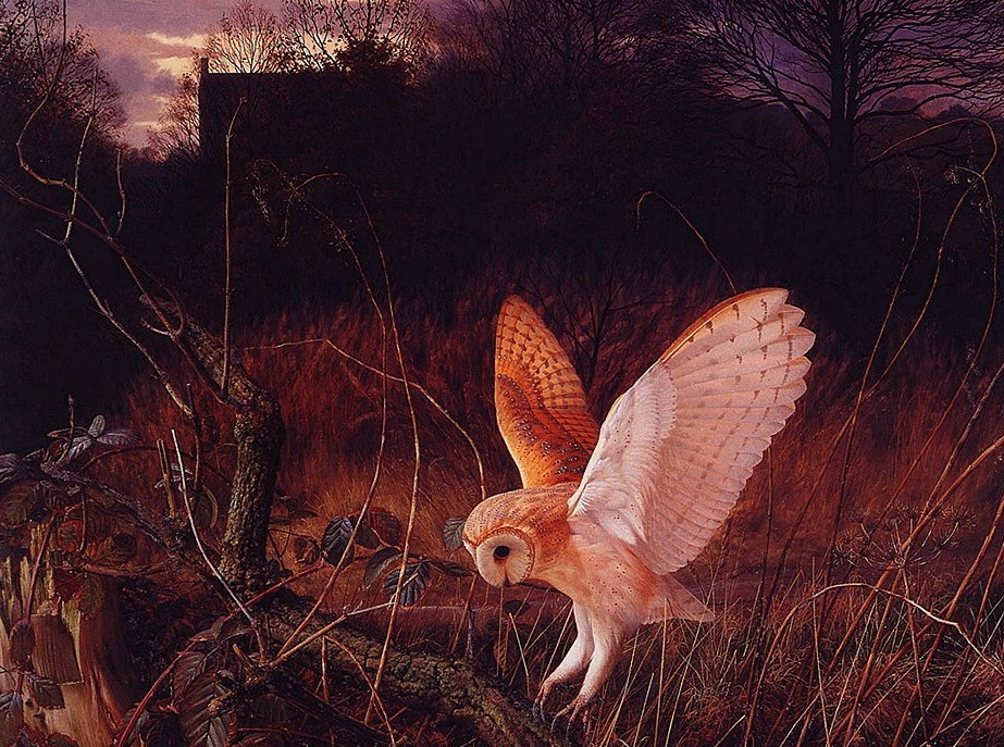 Raymond Booth Plot 40 : Descriptif de l'œuvre | Artchive