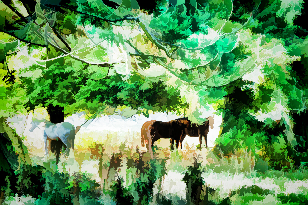 Alex Sark Good Morning Horses : Descriptif de l'œuvre | Artchive